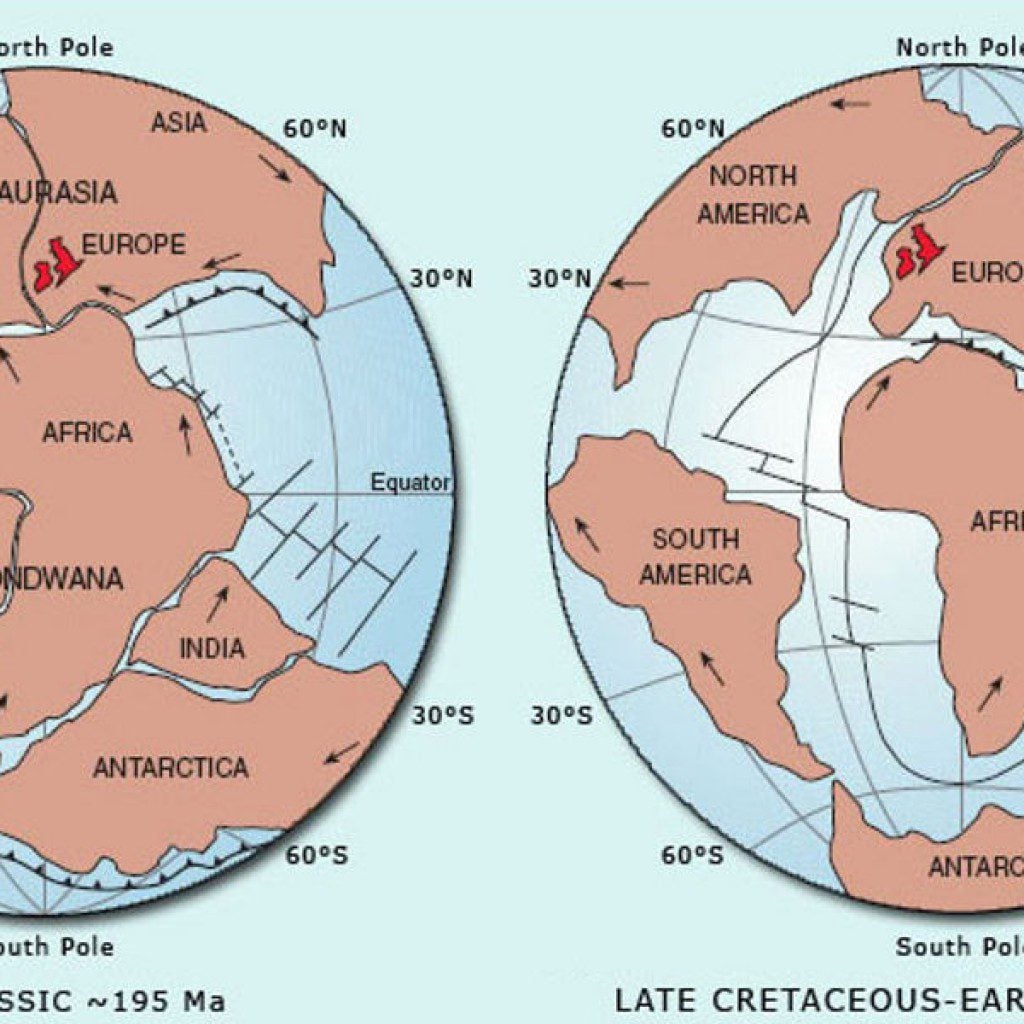 Biogeography of Birds - Ornithology