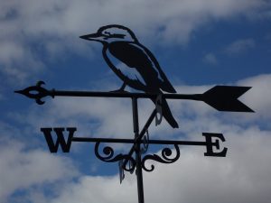 Birds Predicting the Weather - Ornithology