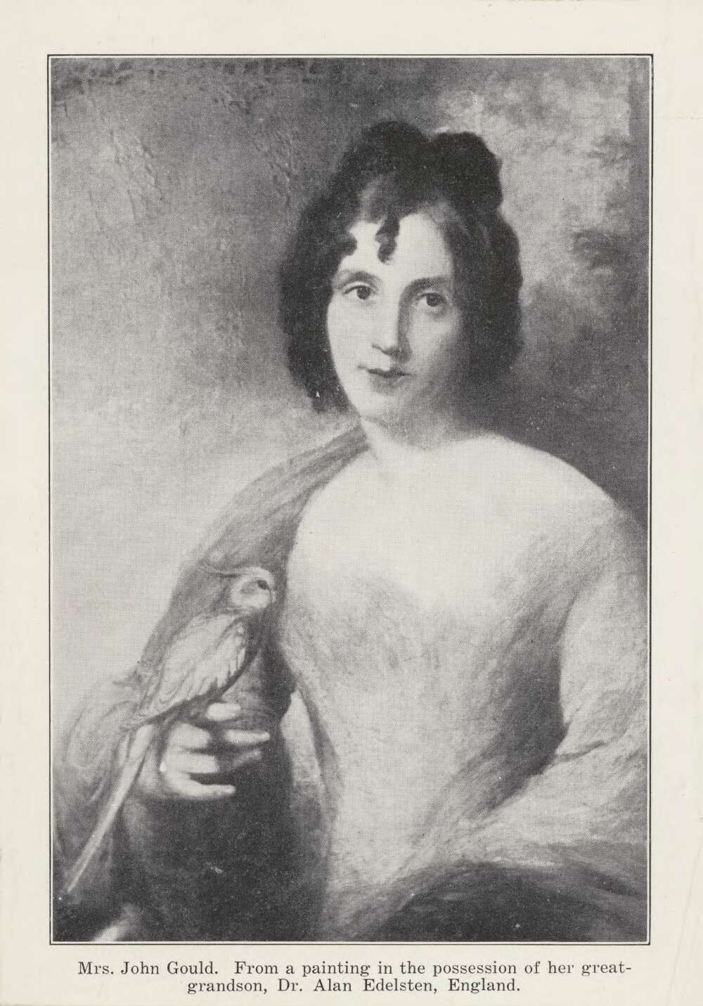 Elizabeth Gould - Ornithology